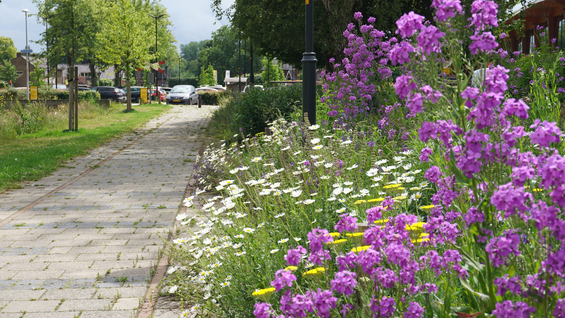 Wildissimo - Spoorpark Goor | Lageschaar Vaste planten