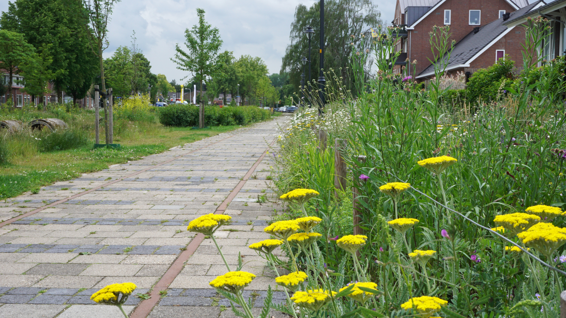 Wildissimo - Spoorpark Goor | Lageschaar Vaste planten