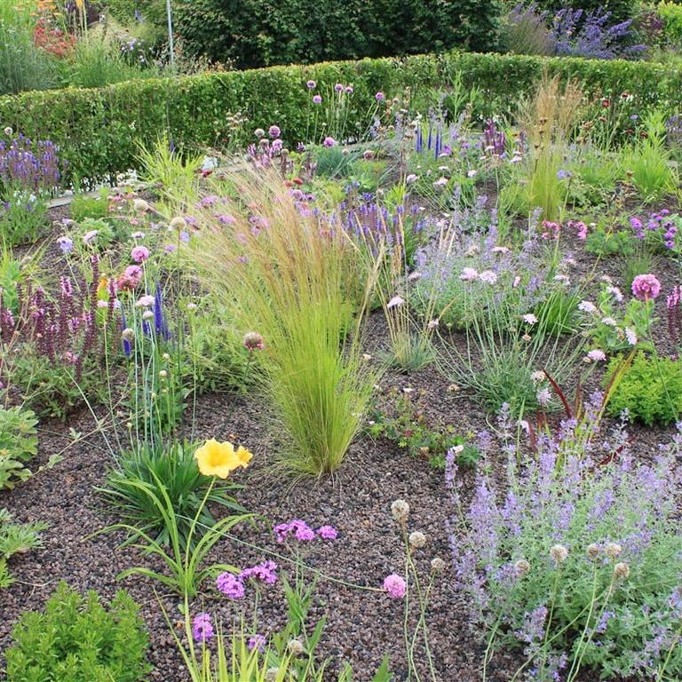 Opal Prairie Garden | Lageschaar Vaste planten
